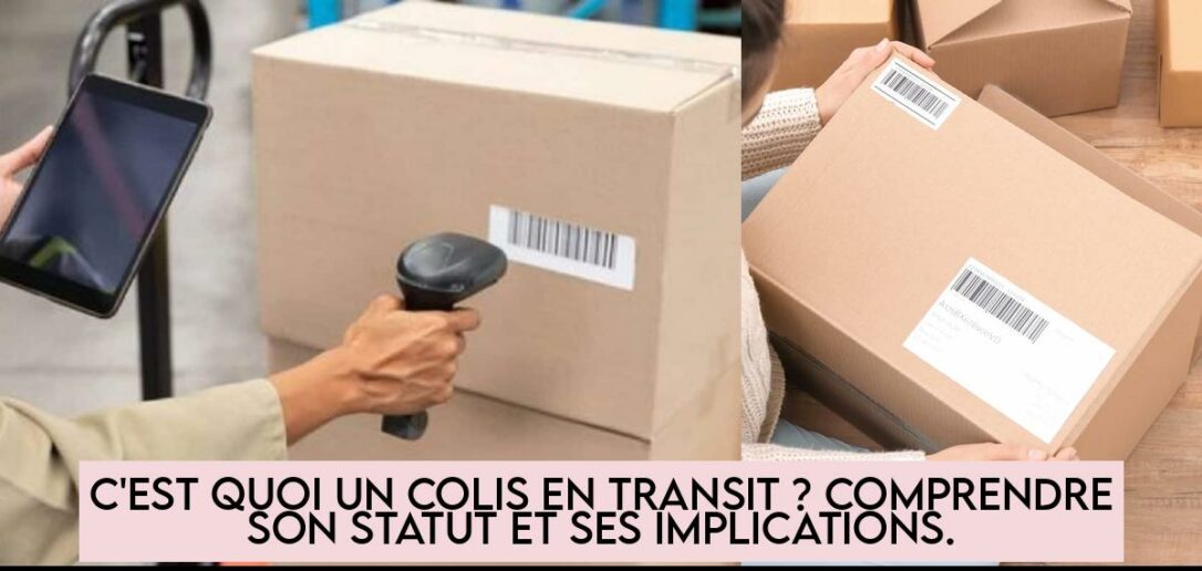 C'est quoi un colis en transit ? Comprendre son statut et ses ...