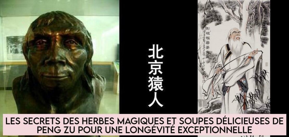 Les secrets des herbes magiques et soupes délicieuses de Peng Zu pour ...