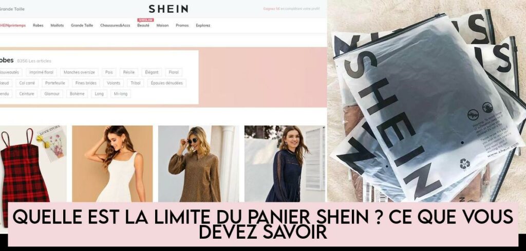 Quelle est la limite du panier Shein ? Ce que vous devez savoir ...