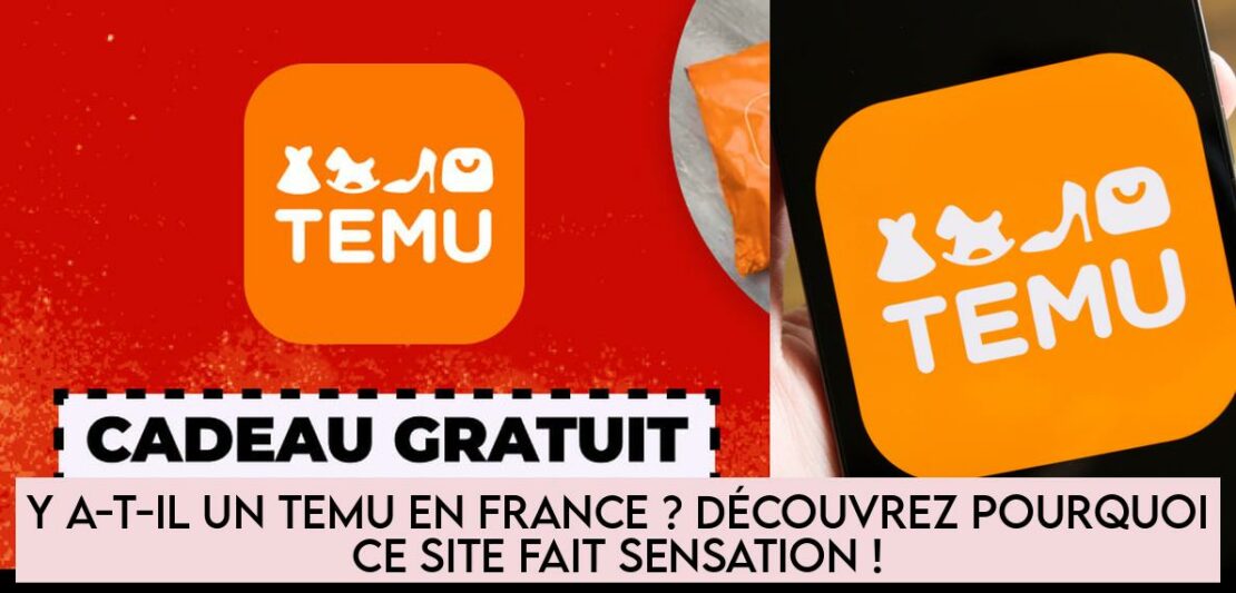 Y a-t-il un Temu en France ? Découvrez pourquoi ce site fait sensation ...